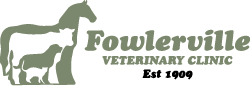 Veterinarian In Fowlerville | Fowlerville Veterinary Clinic